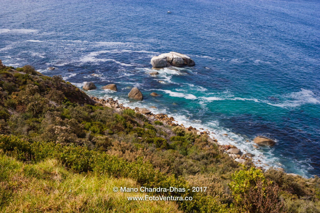 South Africa - Rocky Atlantic Coast - FotoVentura